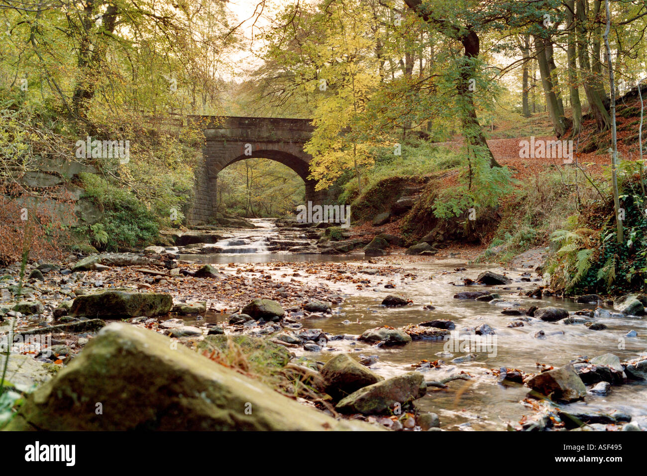 Bridge near Falling Foss North Yorkshire Moors Stock Photo - Alamy