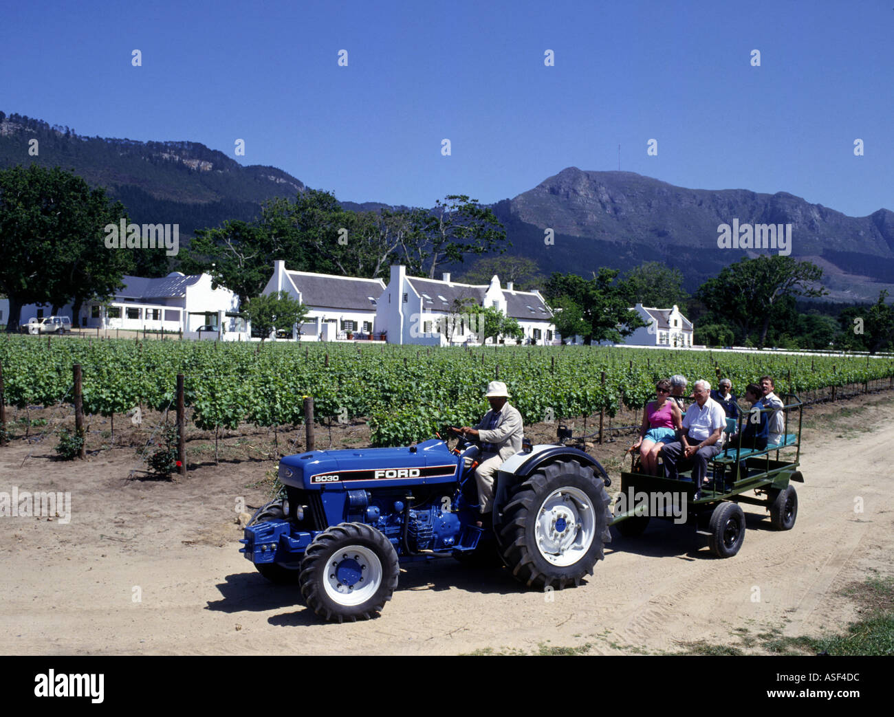 Steenberg Wine Estate in Constantia near Cape Town Western Cape South ...