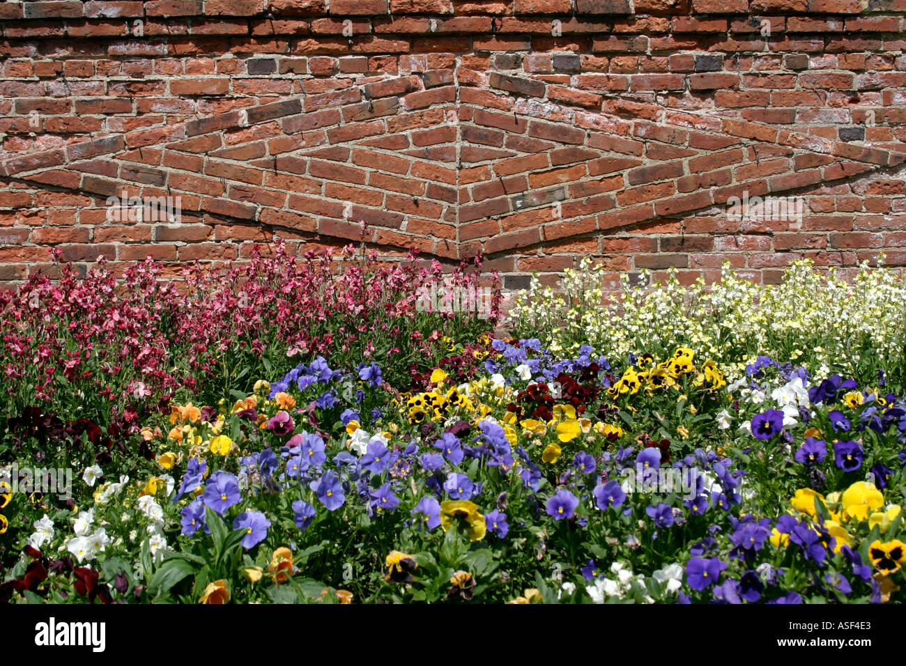 Brick Wall with Flowers Stock Photo - Alamy
