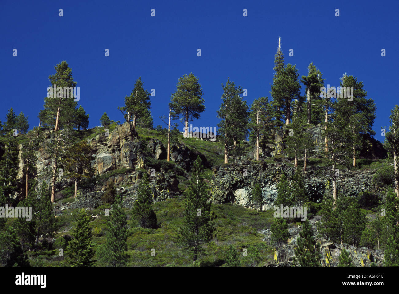 Truckee River Lake Tahoe California Stock Photo - Alamy