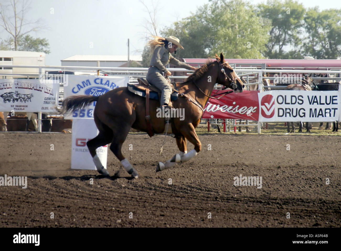 Canadian Rodeo Barrel Racer Stock Photo - Alamy