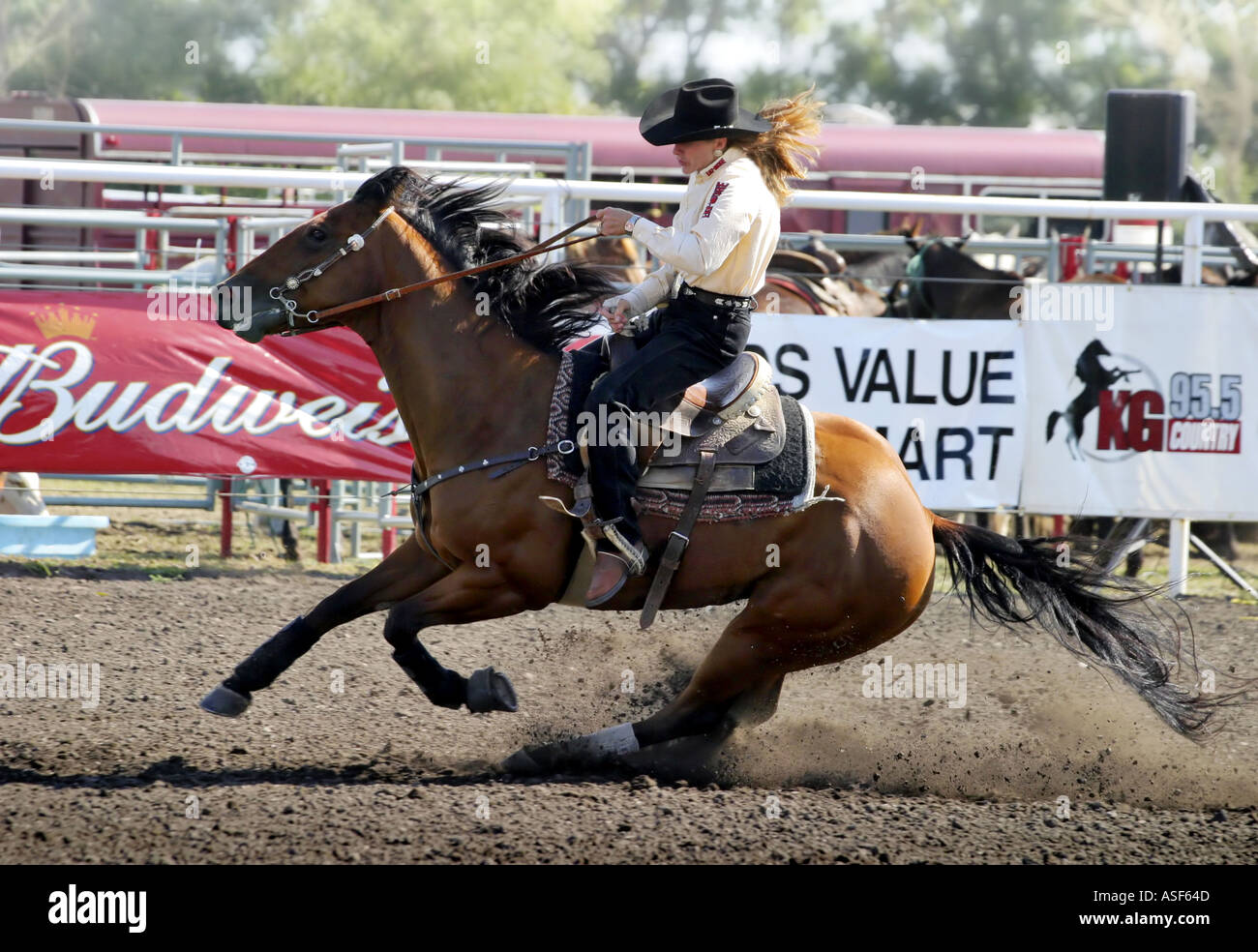 Barrel race rodeo girl hi-res stock photography and images - Alamy