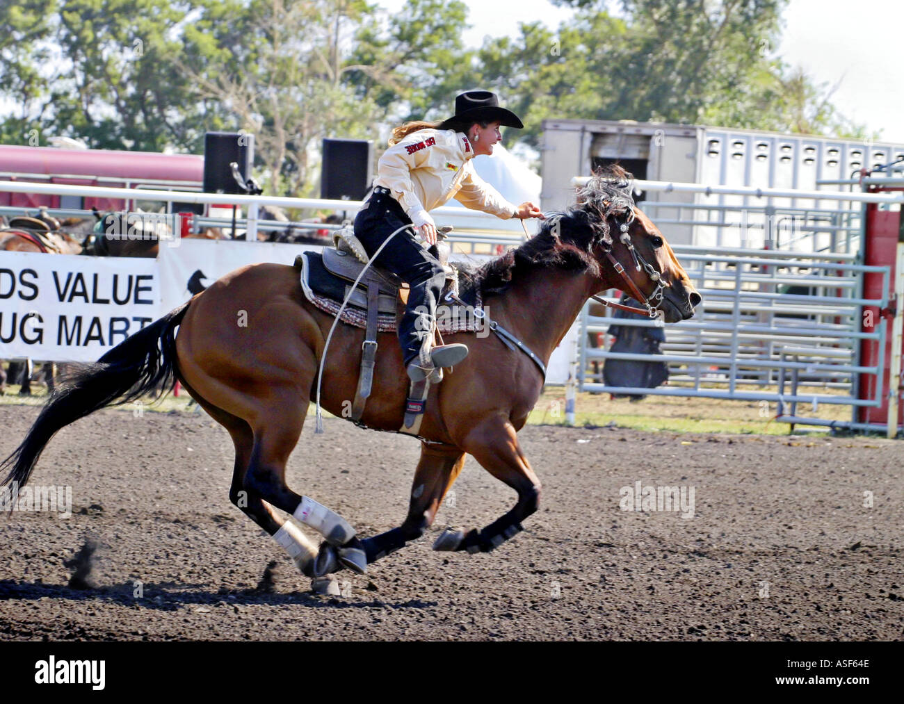 Barrel racer hi-res stock photography and images - Alamy