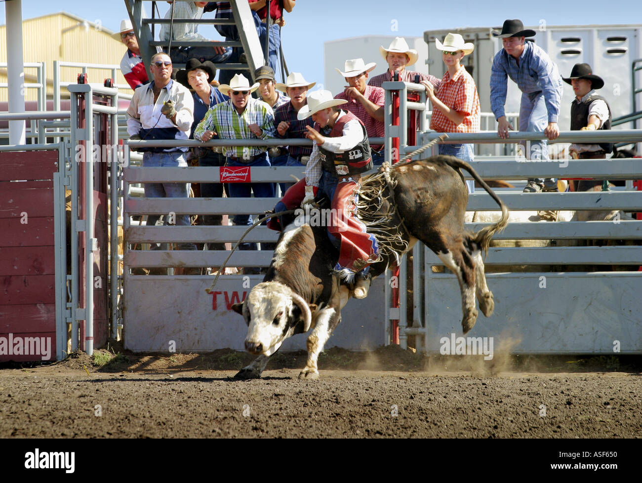 Rider falling off hi-res stock photography and images - Alamy
