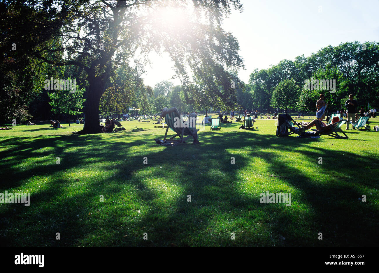 Summer scene in Green Park London England UK Stock Photo - Alamy