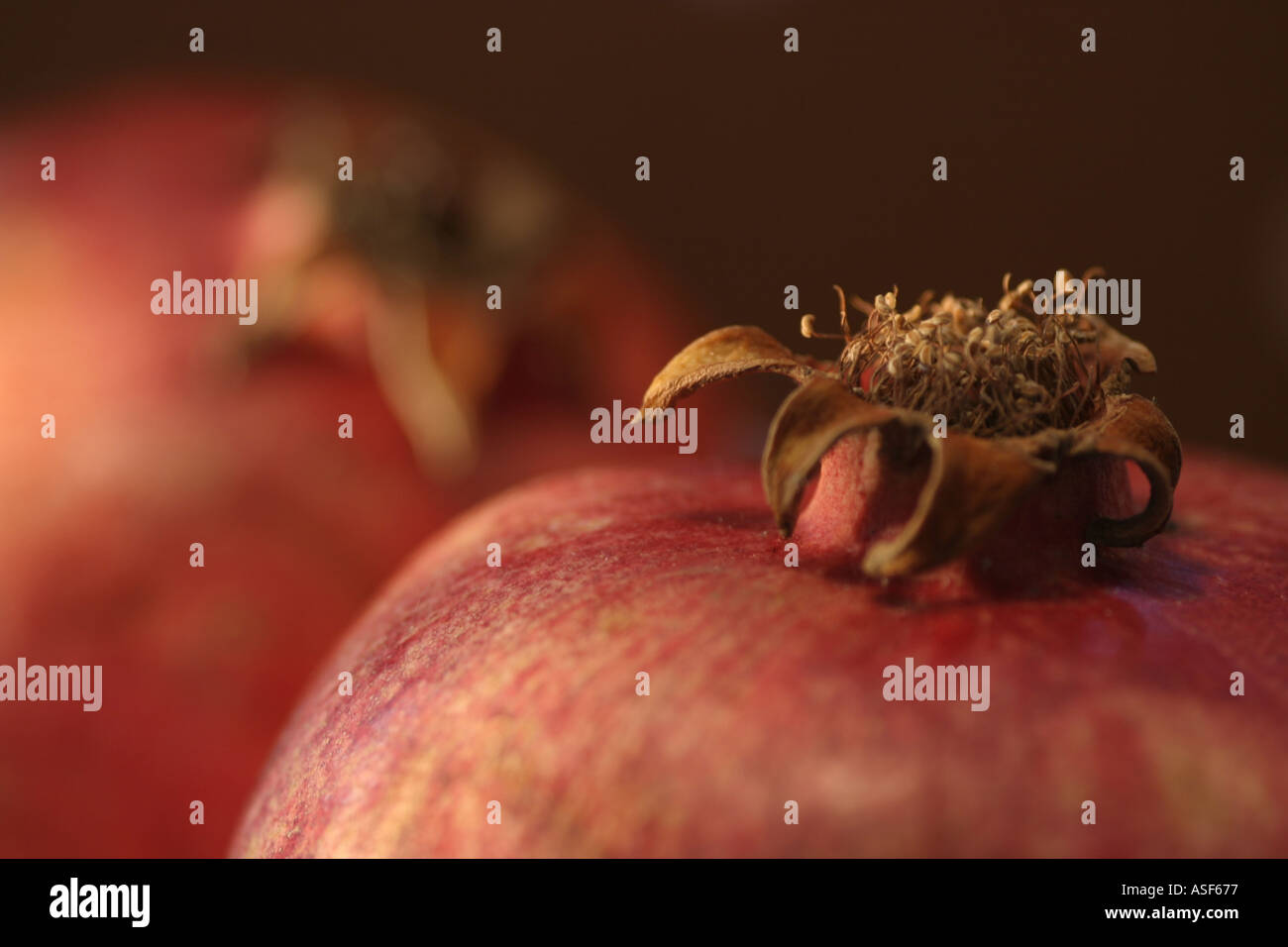 Field ration hi-res stock photography and images - Alamy