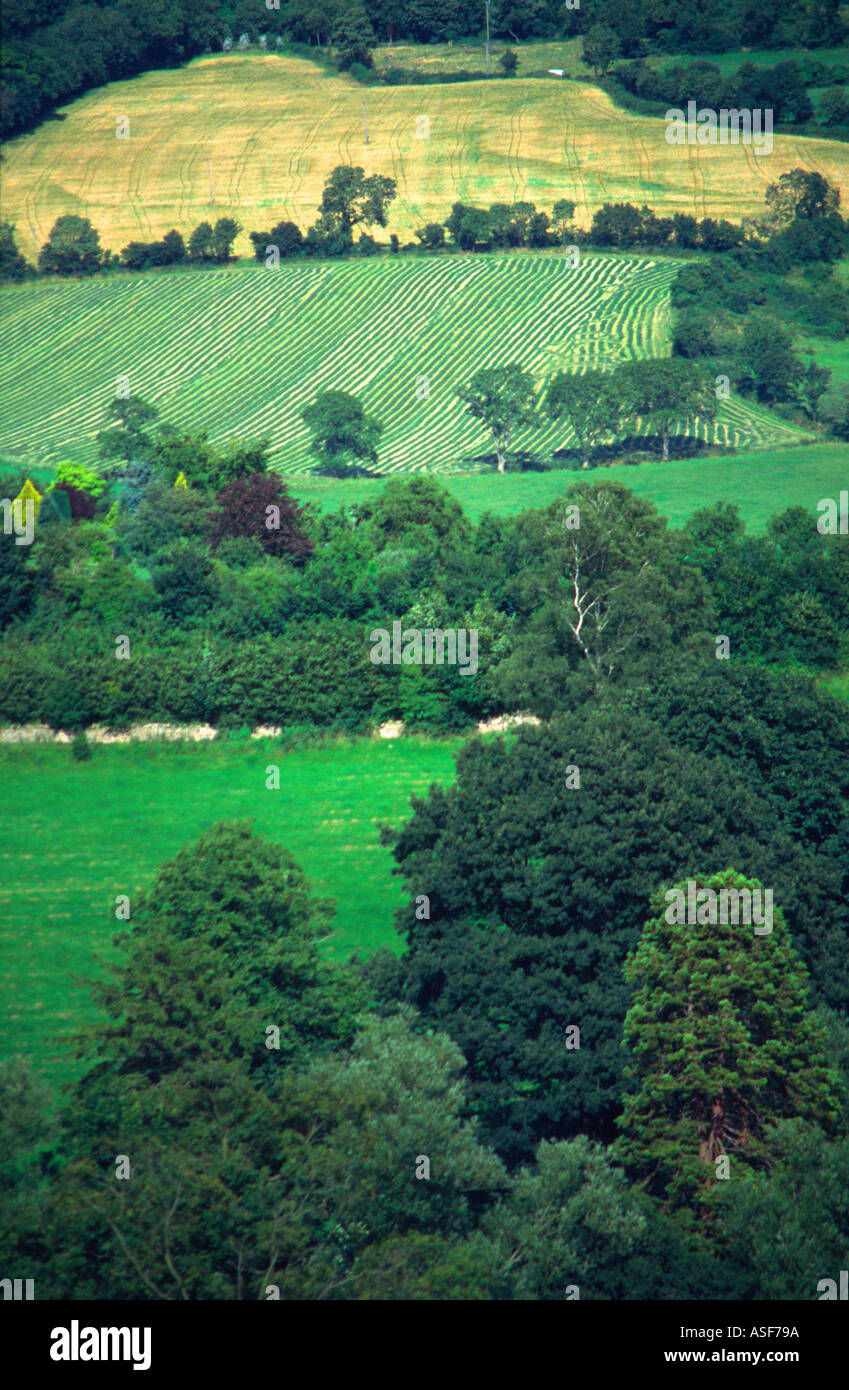 Fields Cotswolds near Bath Somerset England Stock Photo - Alamy