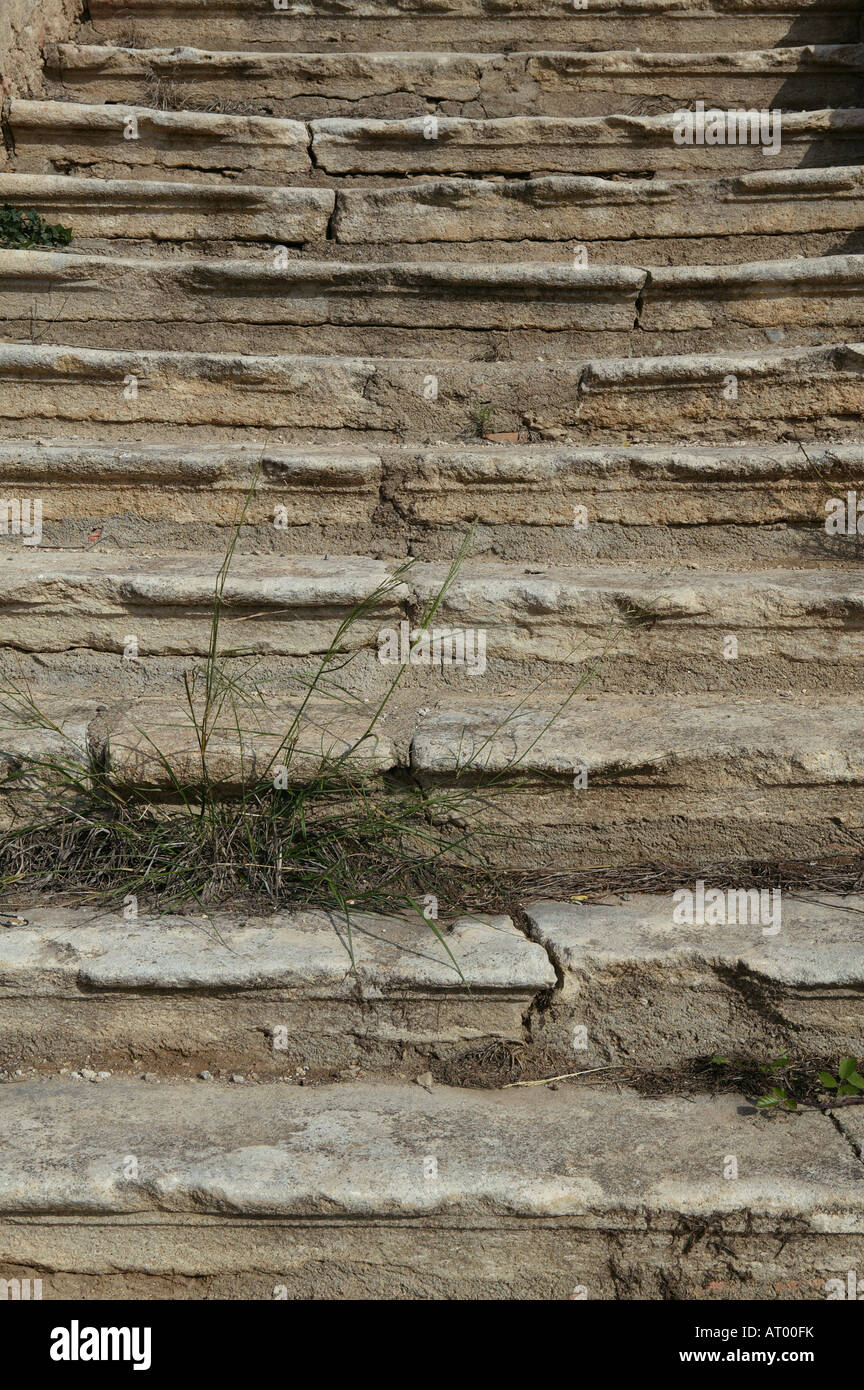 old worn eroded stone steps with plants growing in portrait upright ...
