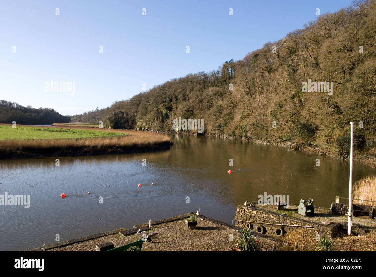 River Tamar, Calstock, Cornwall Stock Photo - Alamy