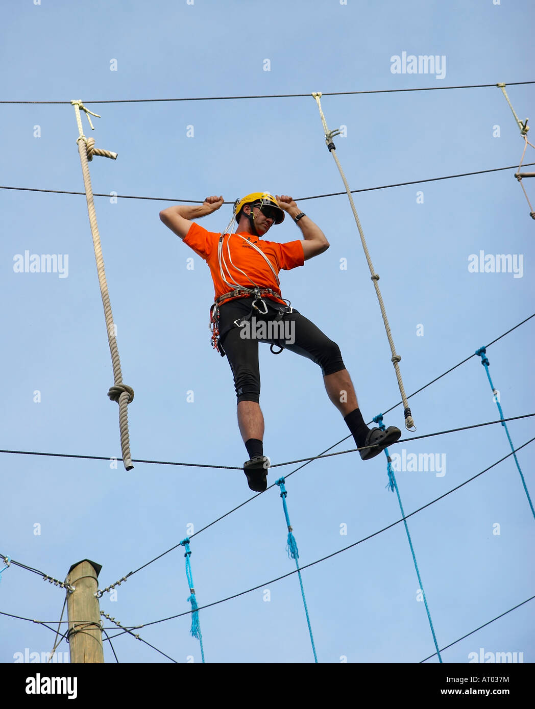 high rope course Stock Photo - Alamy