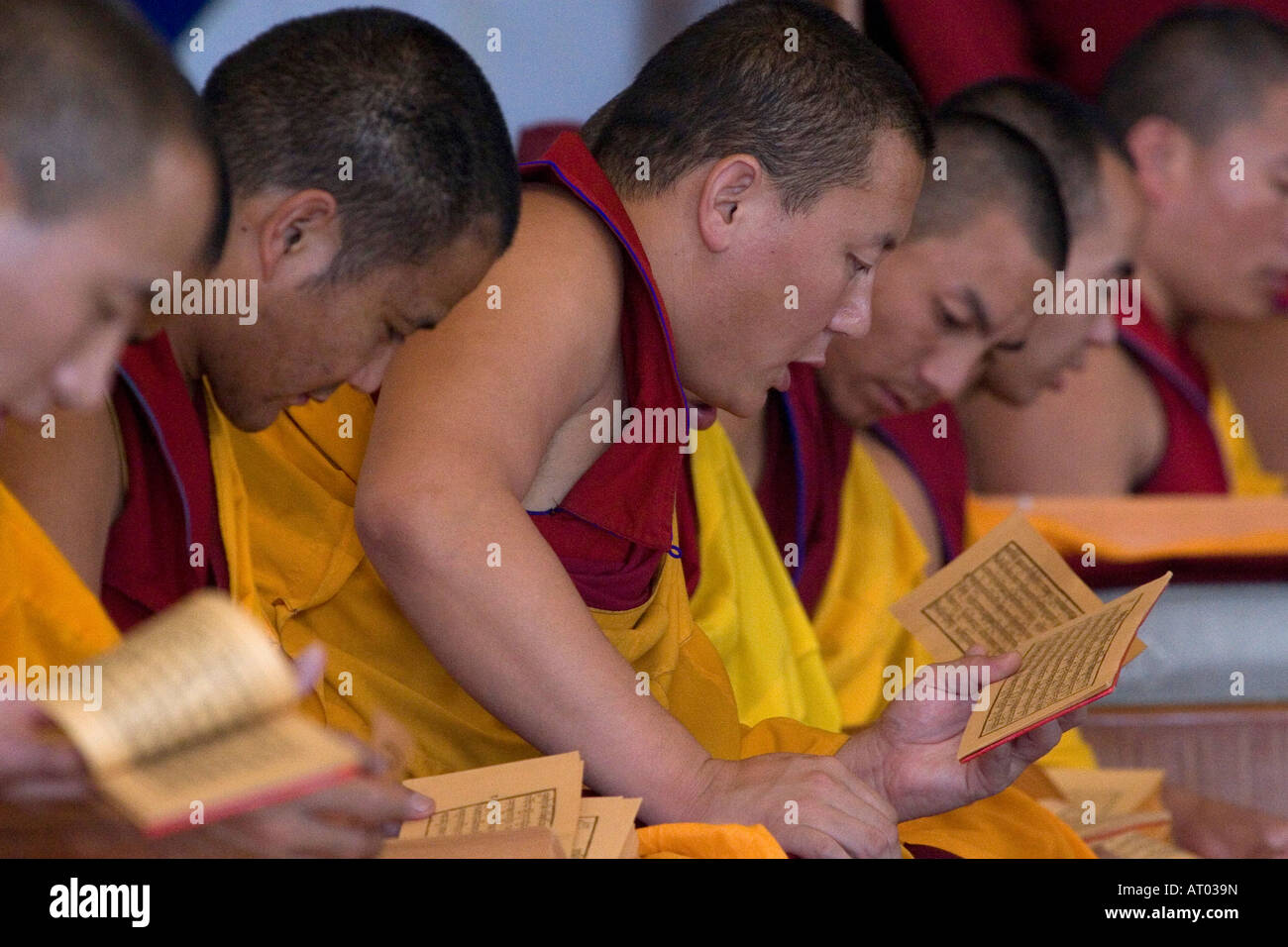 Tibetan buddhist monks chanting hi-res stock photography and images - Alamy