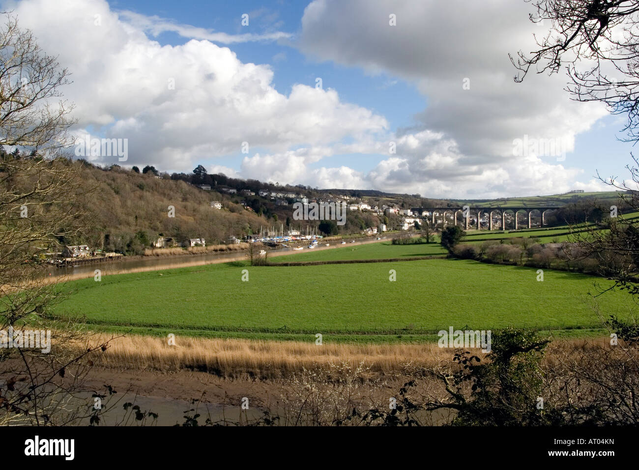 River Tamar & Viaduct, Calstock, Cornwall Stock Photo - Alamy