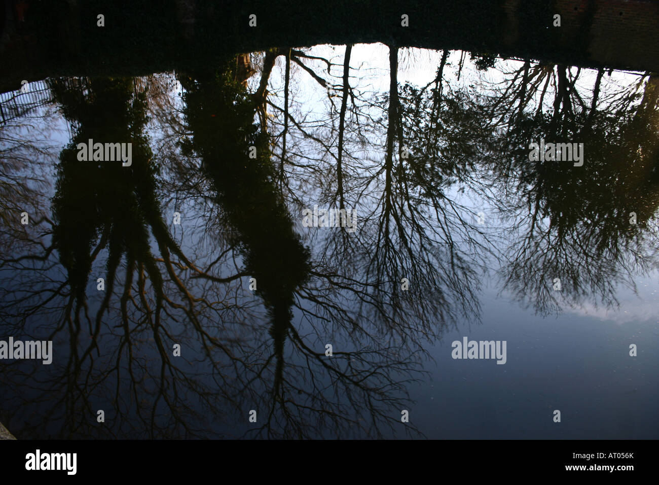 Wintry tree refections on still water hi-res stock photography and ...