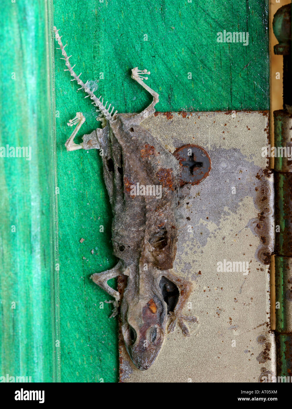 Unhinged door hi-res stock photography and images - Alamy