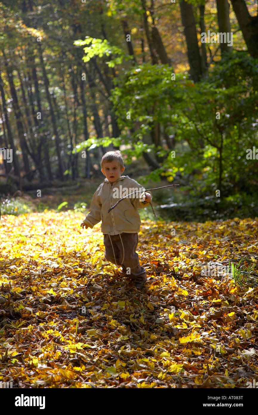 little boy running through the forest Stock Photo - Alamy