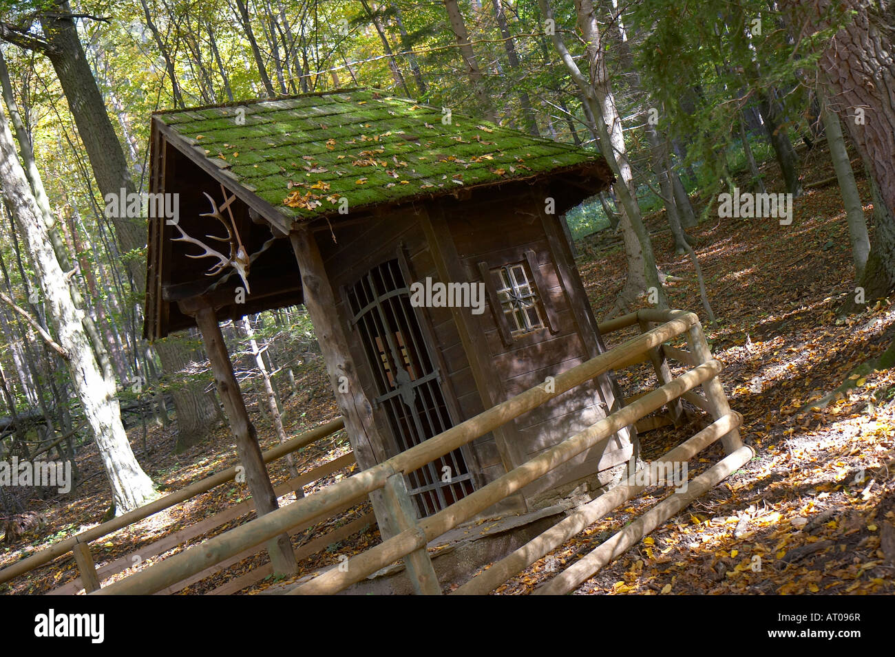 hut in forest with green roof Stock Photo - Alamy