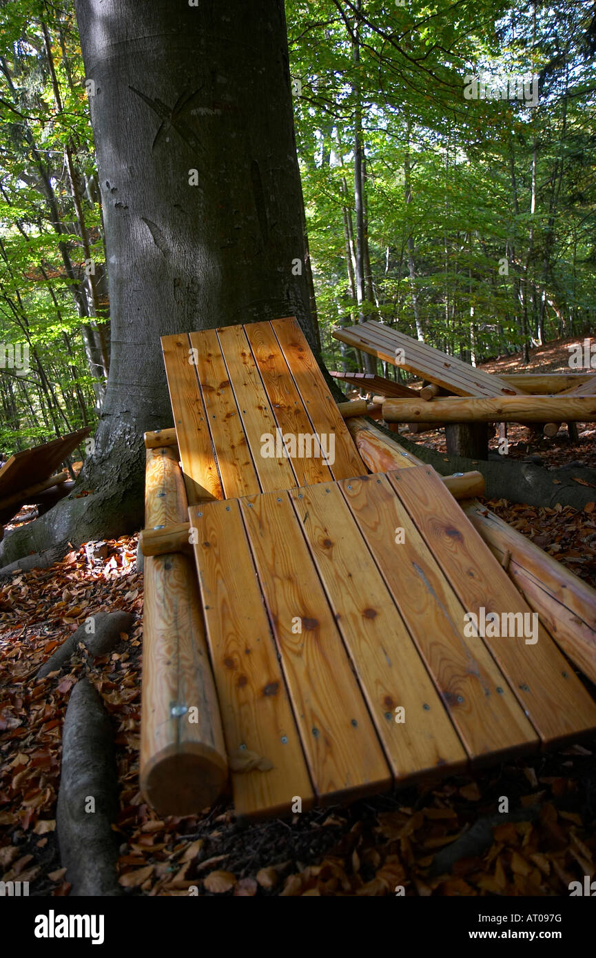 wooden deck chair in the forest Stock Photo - Alamy