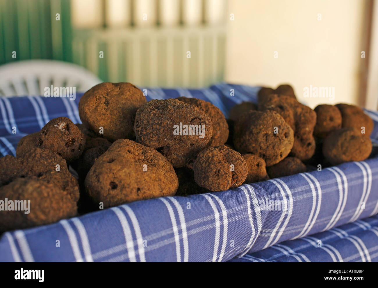 Truffle shop fungus hi-res stock photography and images - Alamy