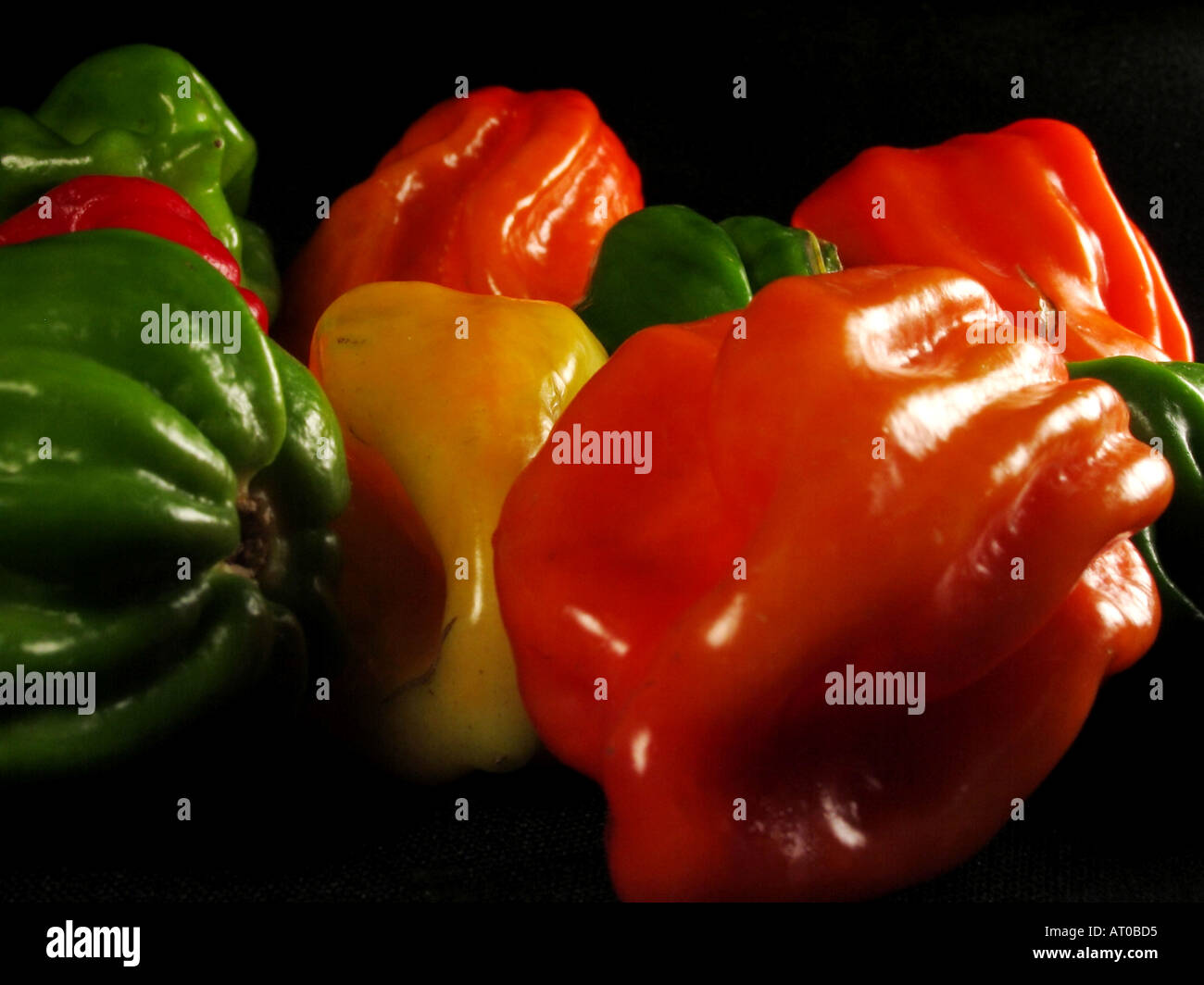 Aji Chombo also known as Scotch Bonnet Pepper or Habanero Pepper Stock ...