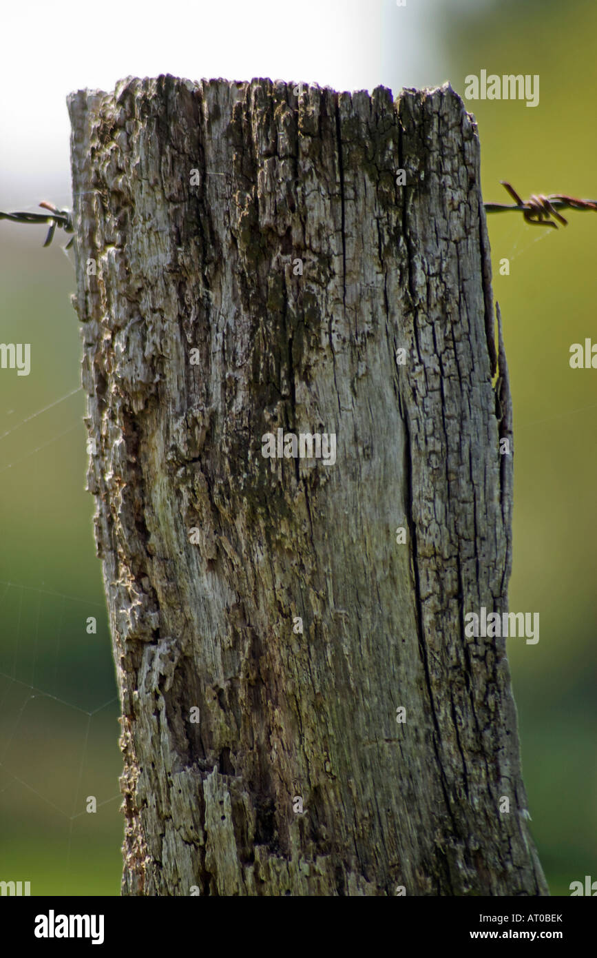 Stake and wire fence hi-res stock photography and images - Alamy