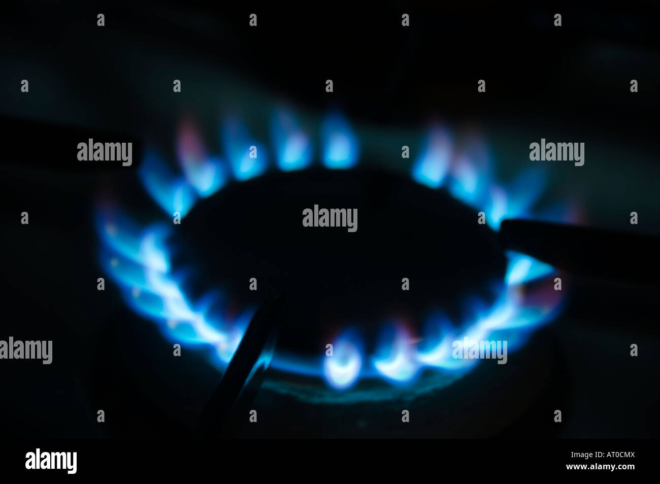 Blue flames in a gas ring on cooker Stock Photo - Alamy