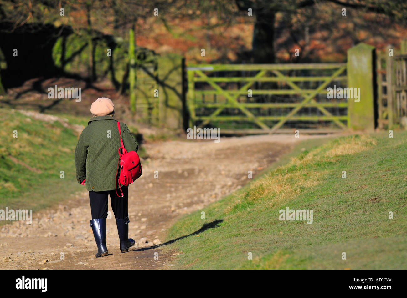 middle-aged lady walking through country park Stock Photo - Alamy