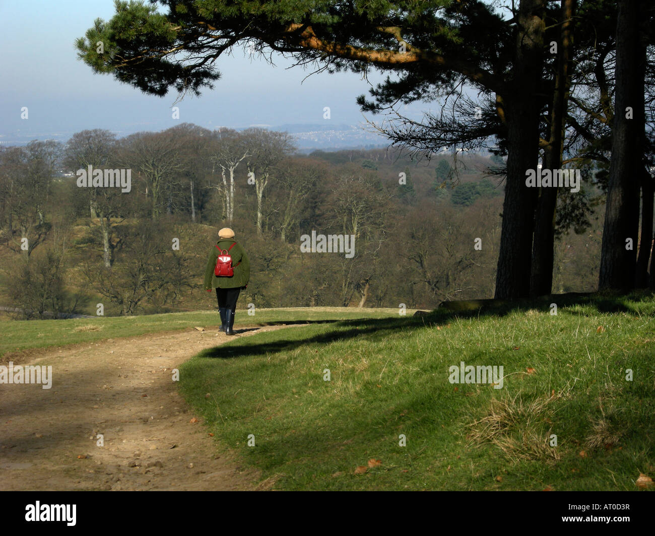 middle-aged lady walking through country park Stock Photo - Alamy