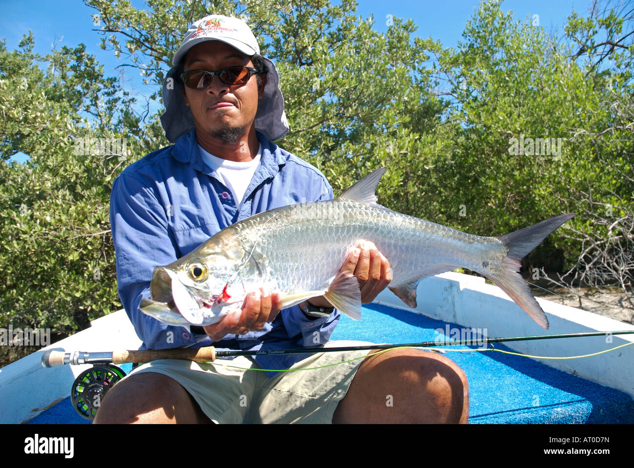 Baby Tarpon Fish