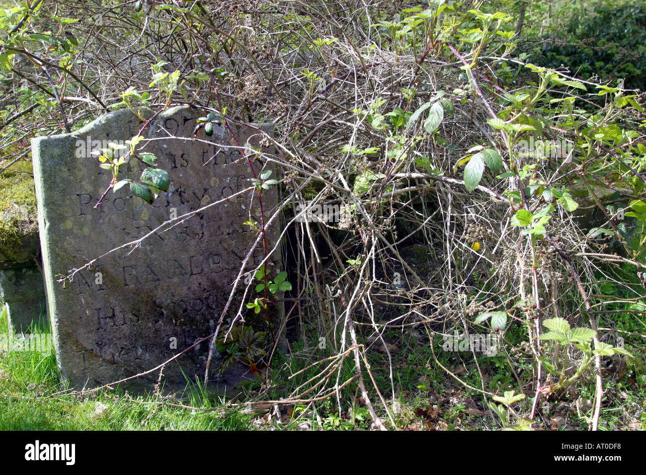 Old graveyard scene Stock Photo - Alamy