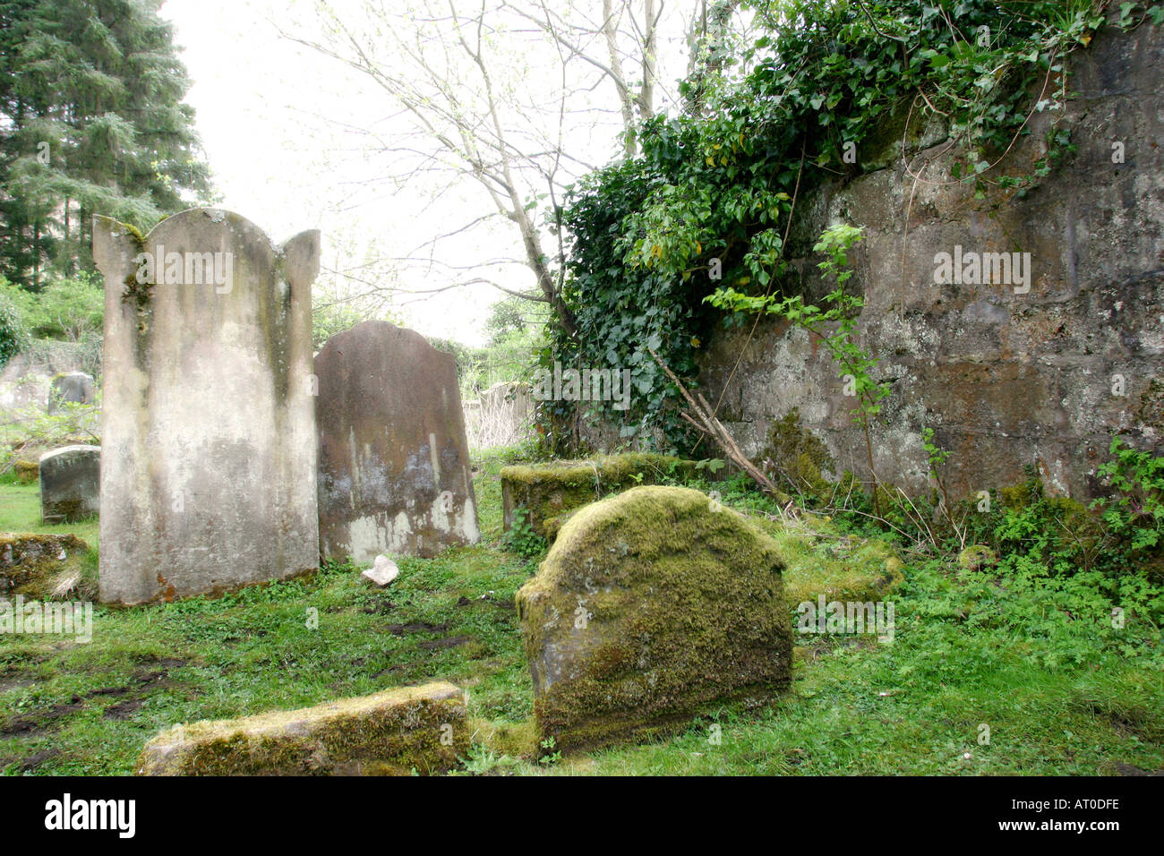 Old graveyard scene Stock Photo - Alamy
