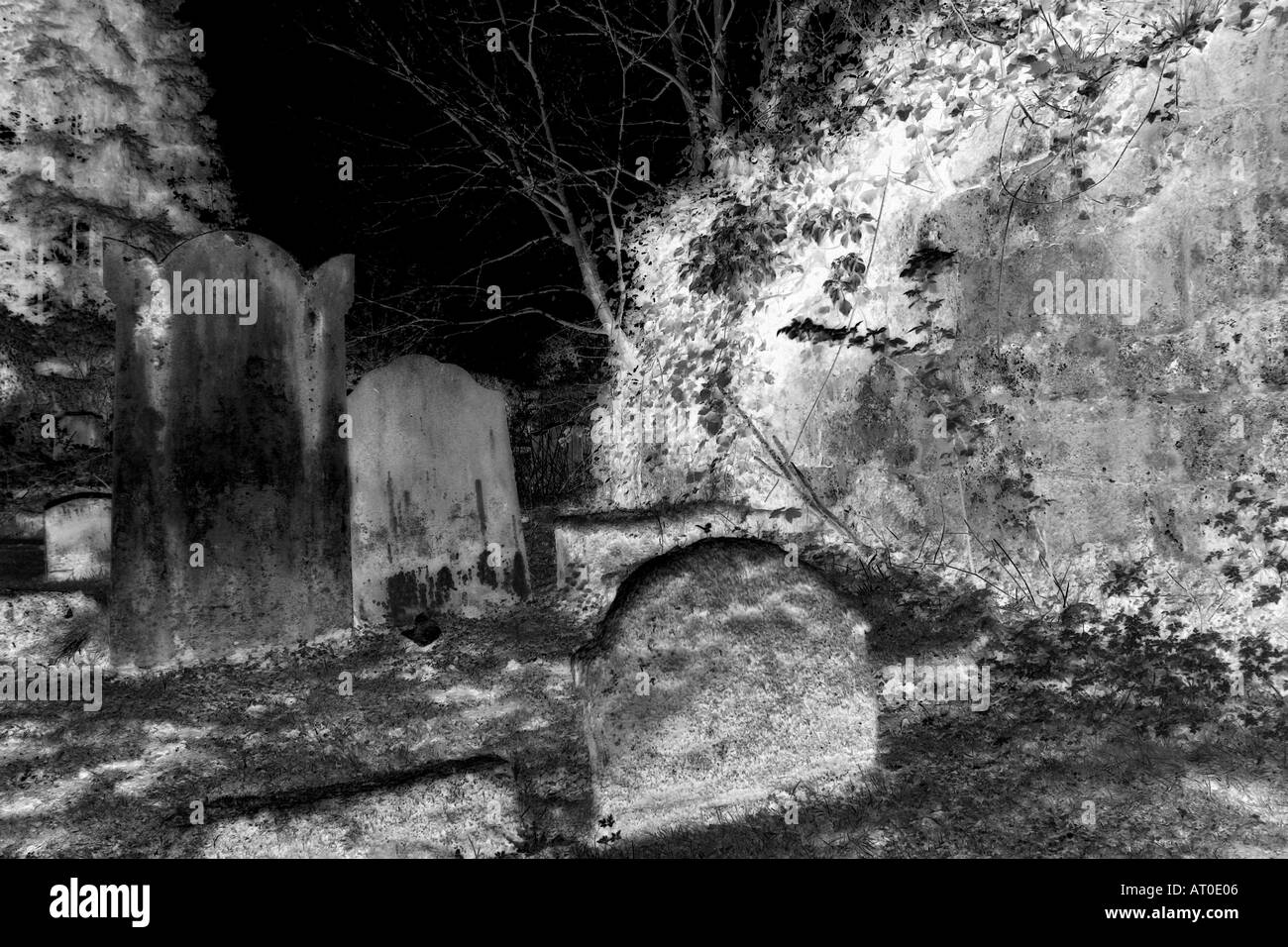 Inverted black and white graveyard scene Stock Photo - Alamy
