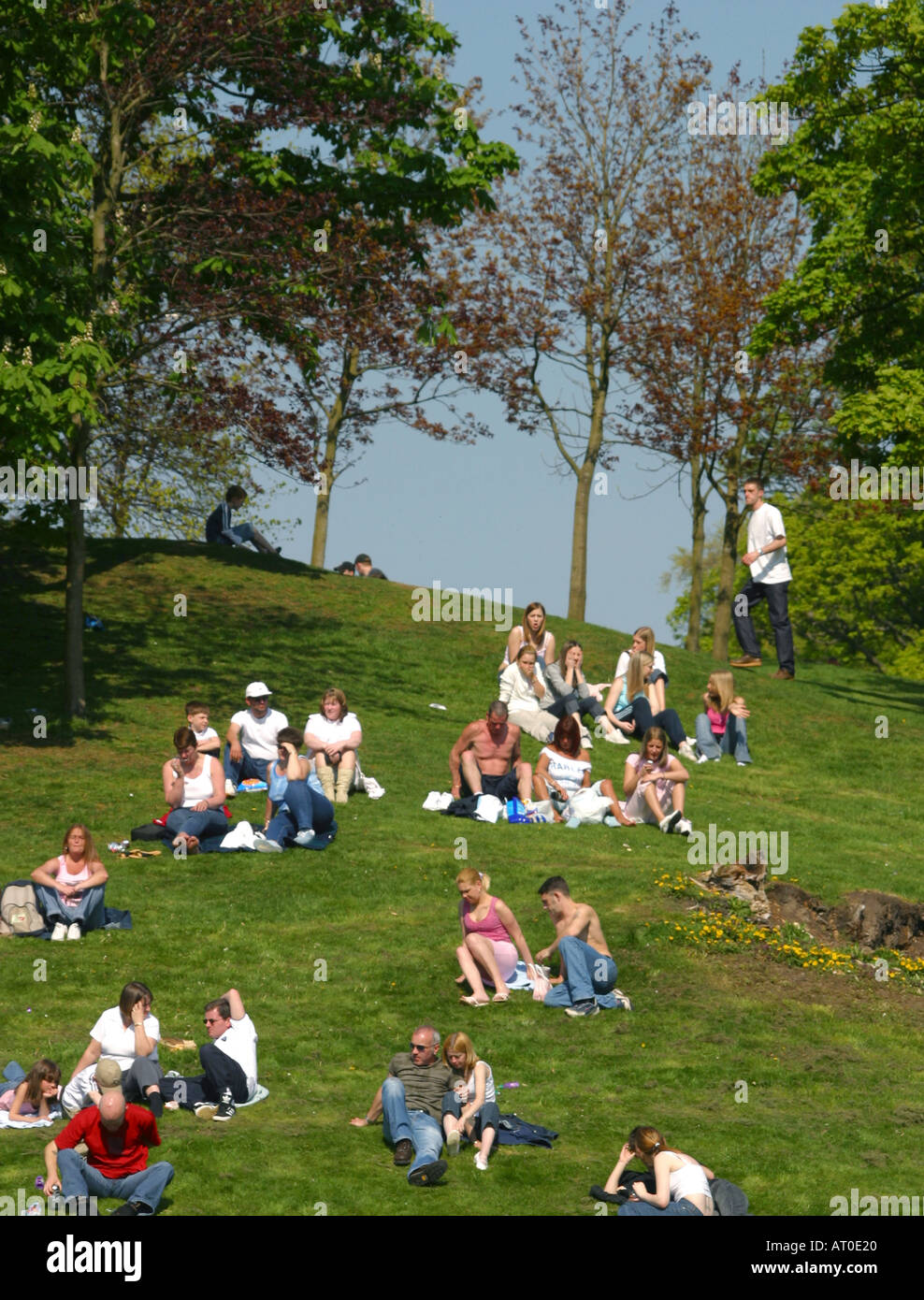 People relaxing in sun listening to an outdoor concert Stock Photo - Alamy