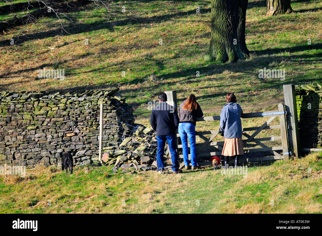 group of walkers deciding whether to go into another field through a ...