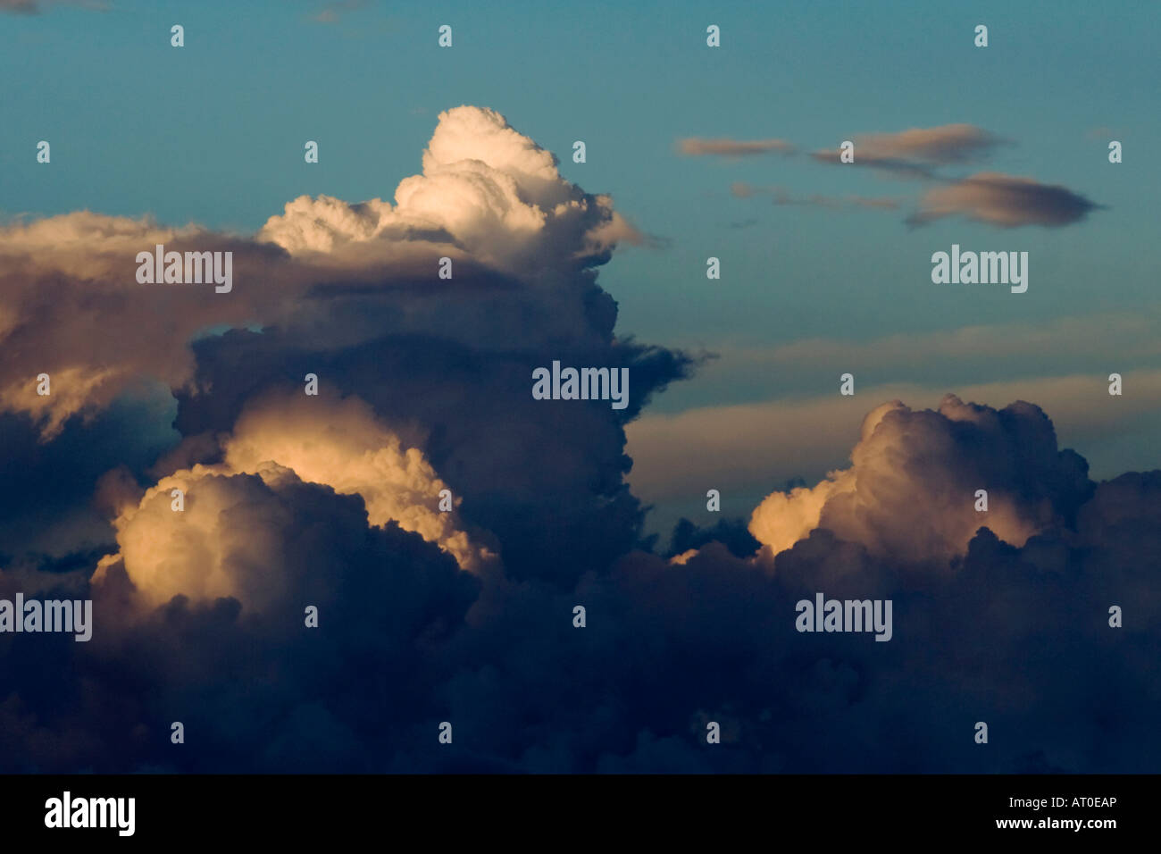 Growing cumulus clouds on a blue sky Stock Photo - Alamy