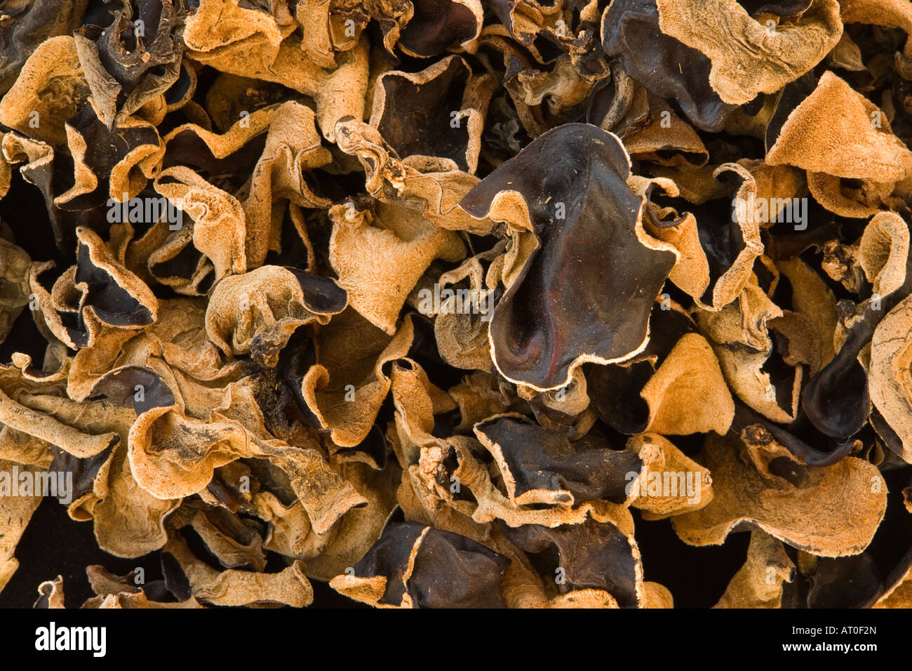 Chinese/Asian Mushrooms Muerr Mu-Err Black Fungus Stock Photo - Alamy