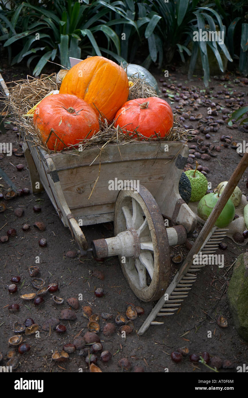 pumpkins in hay trailer Stock Photo - Alamy