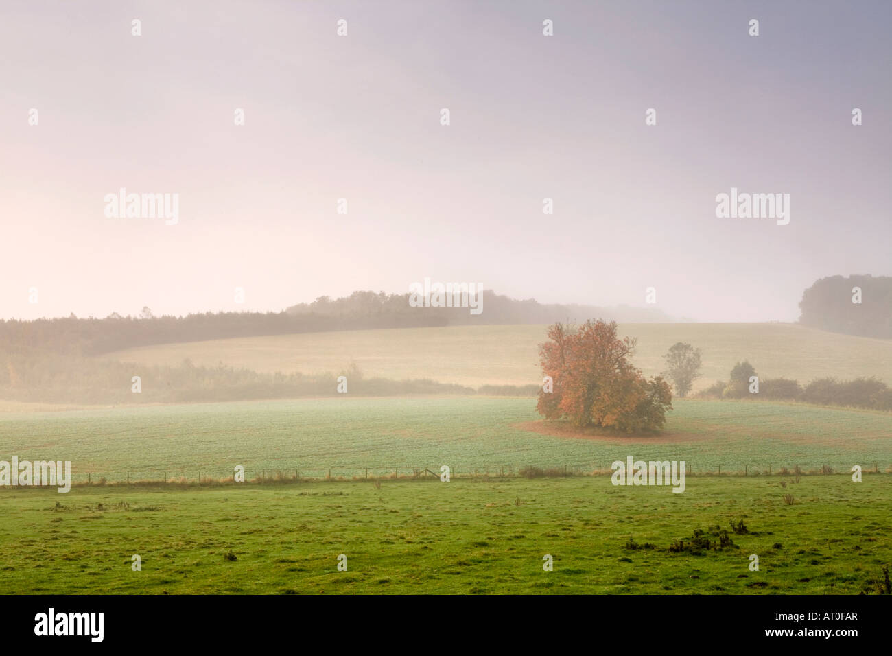 Misty farm hi-res stock photography and images - Alamy