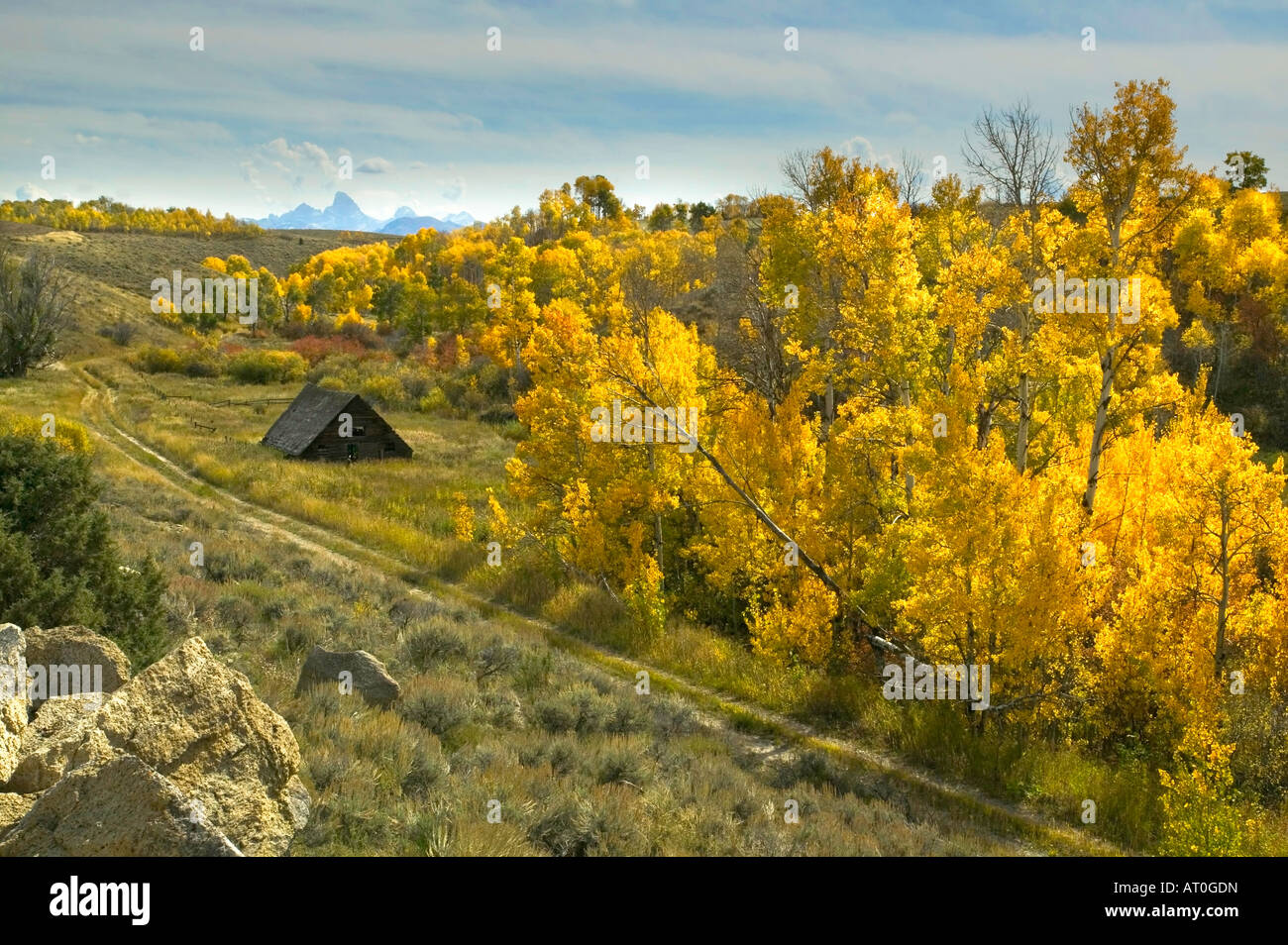Rolling farm land in the Teton Basin Idaho Stock Photo - Alamy