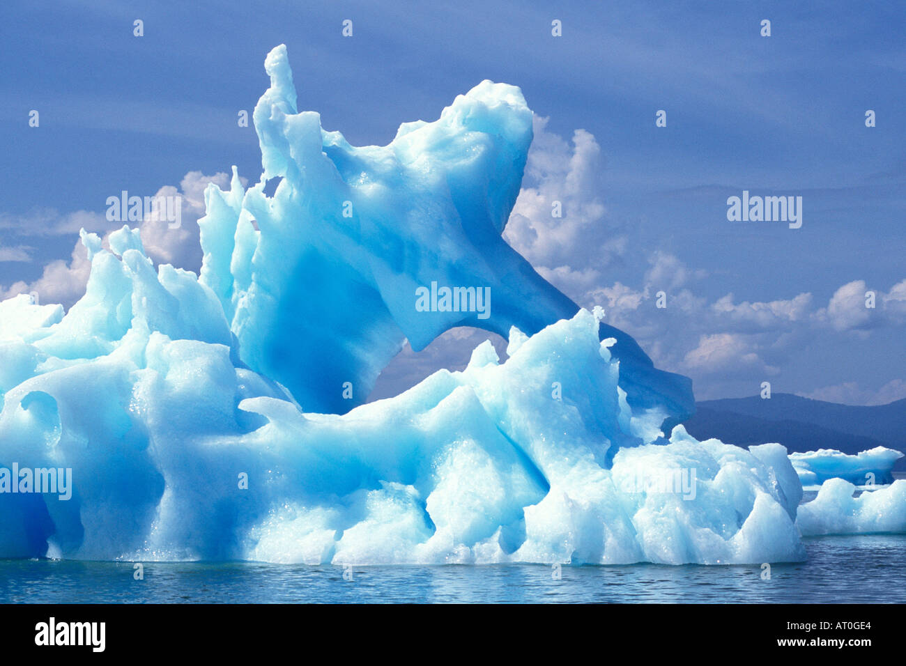 blue iceberg adrift in Bear Glacier Lake Kenai Fjords National Park ...