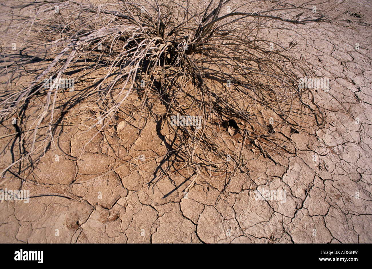 Drought in Namibia Stock Photo - Alamy
