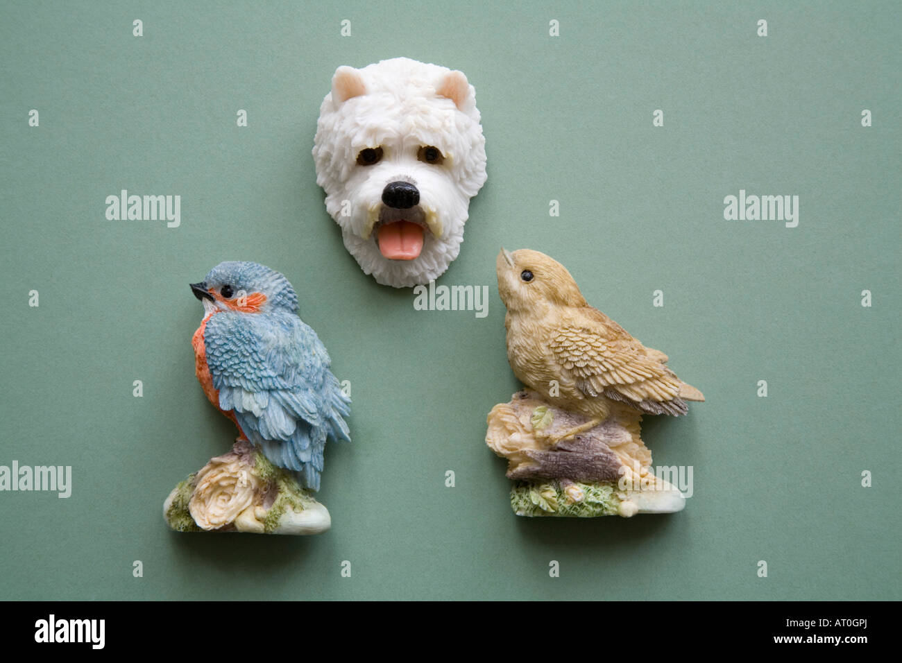 Studio Still life Close up Selection of fridge magnets West Highland ...