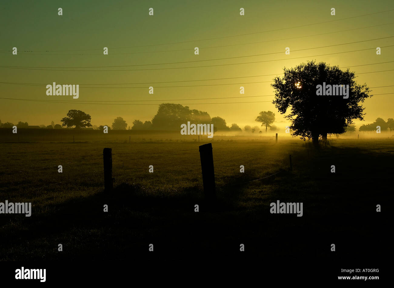 beautiful september morning with fog in holland Stock Photo - Alamy