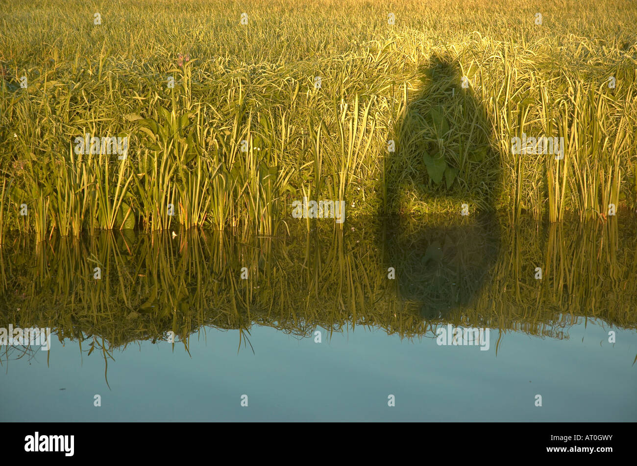 shadow of a man Stock Photo - Alamy