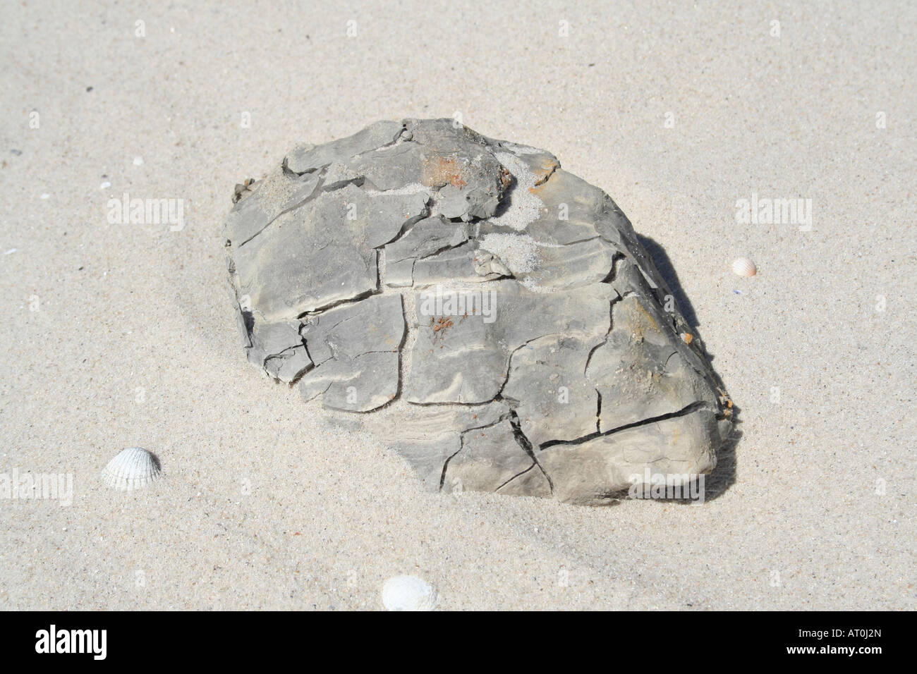 pece of the blue clay on the seaside beach Stock Photo - Alamy
