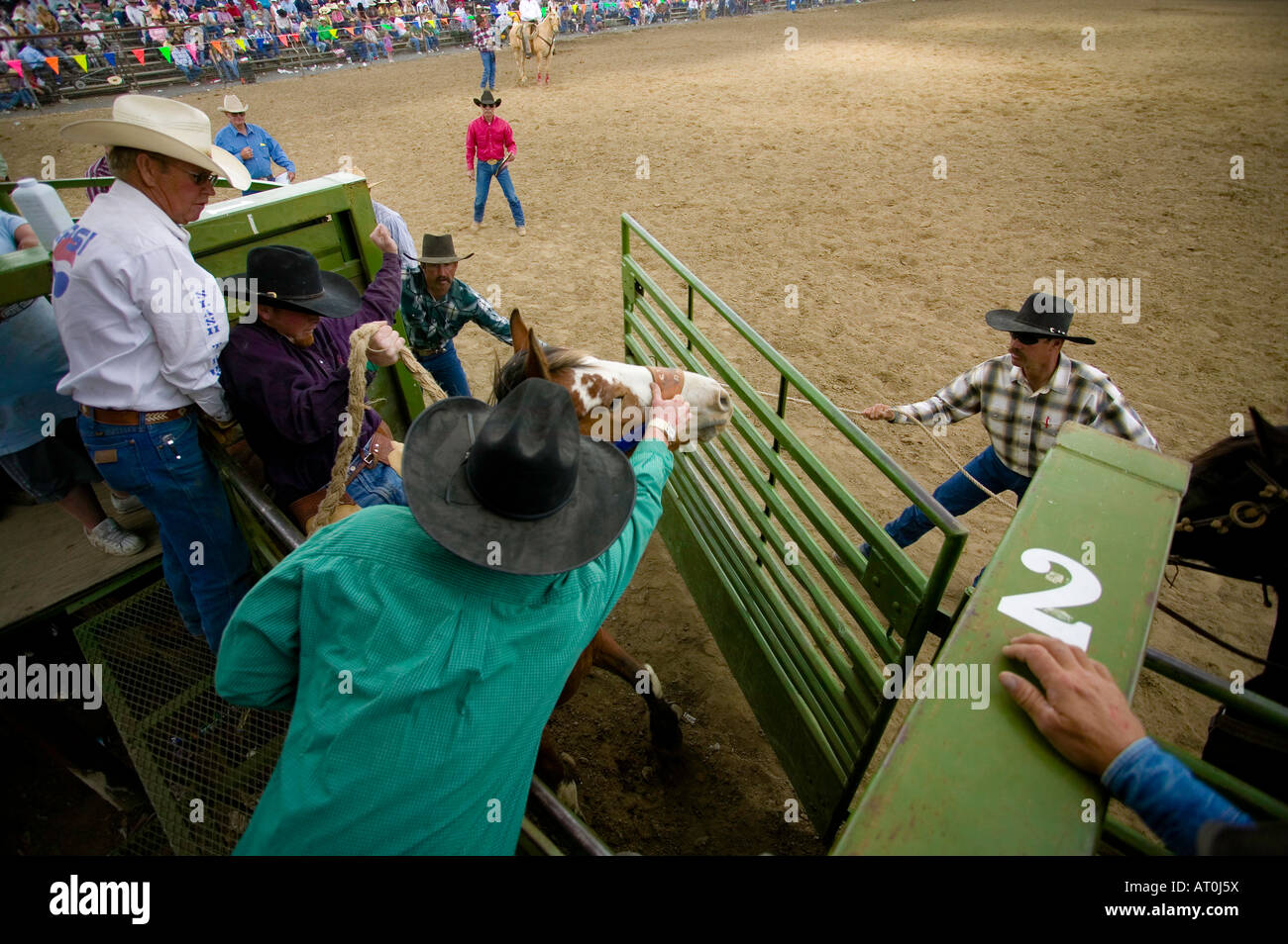 A young cowboy comes out of chute number 2 at the Jordan Valley Rodeo ...