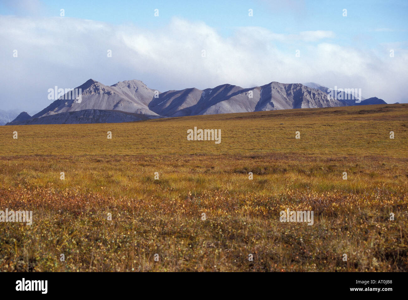 North Slopes of the Brooks Range with the Arctic National Wildlife ...