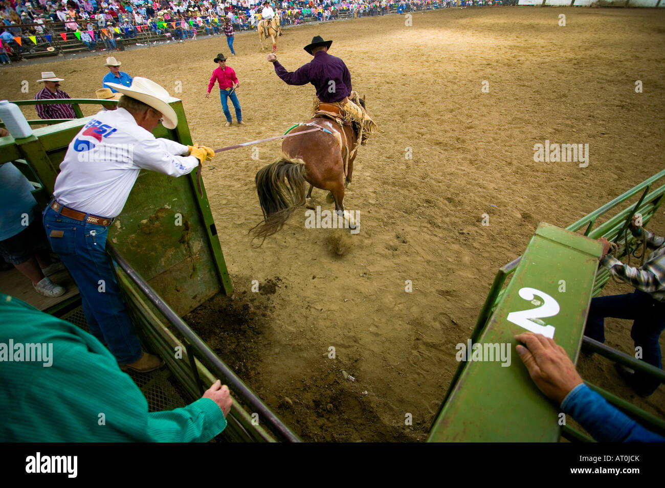 A young cowboy comes out of chute number 2 at the Jordan Valley Rodeo ...