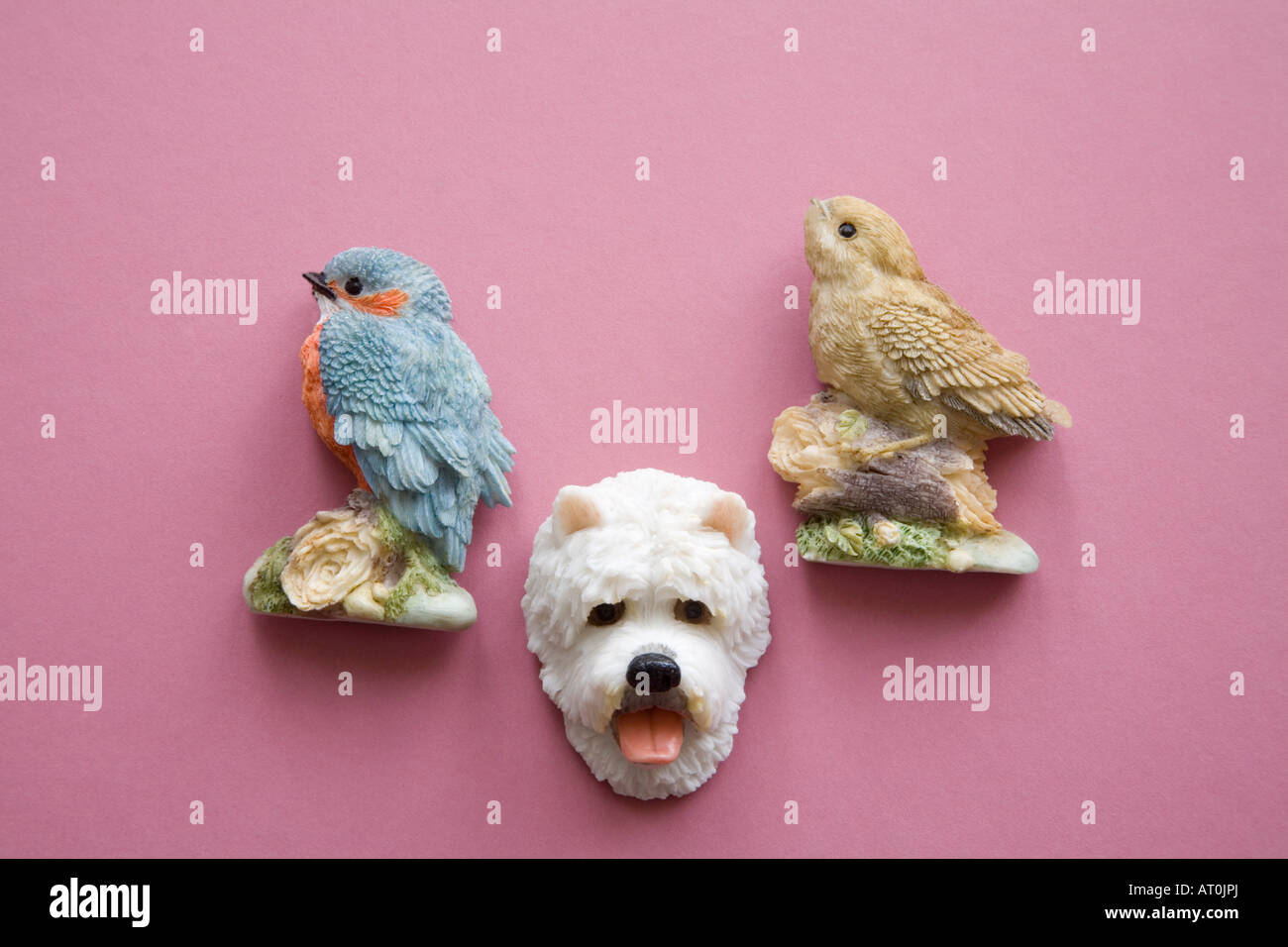 Birds With Dog Heads