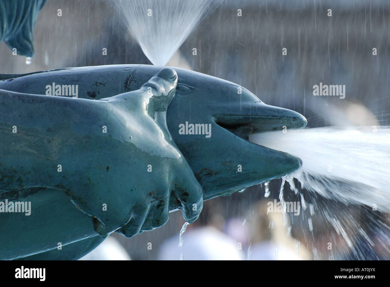 Water sprays from a dolphin in Trafalgar Square London Stock Photo - Alamy