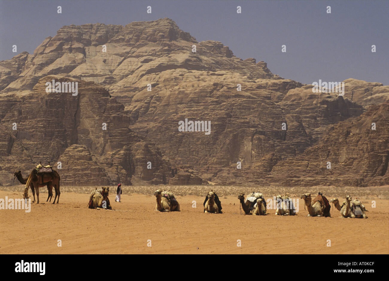 Nomadic arab tribes hi-res stock photography and images - Alamy